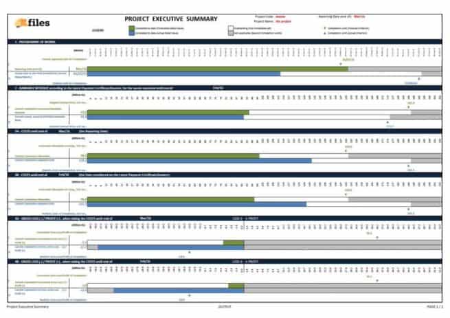 Construction Project Executive Summary - Construction Files
