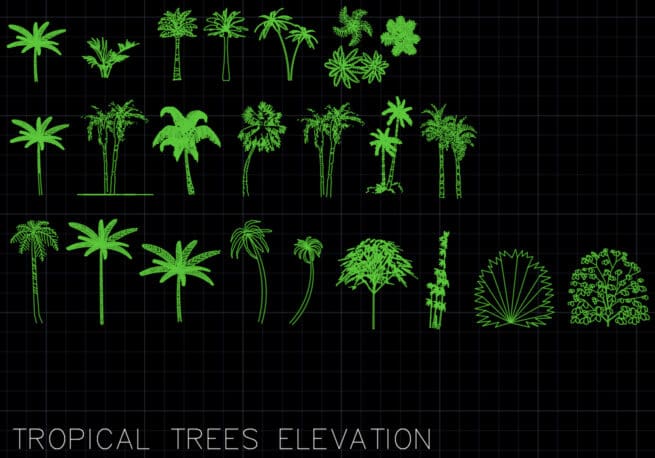 Tropical Trees And Plants - AutoCAD Blocks - Construction Files