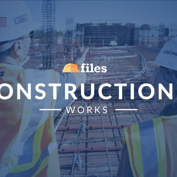 Staff Histogram And Manpower Loading Chart - Construction Files