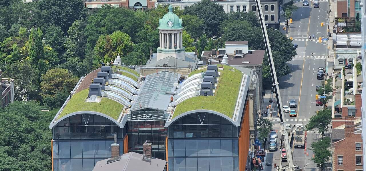 Green Roof Progresses at St Lawrence Market North Building ...